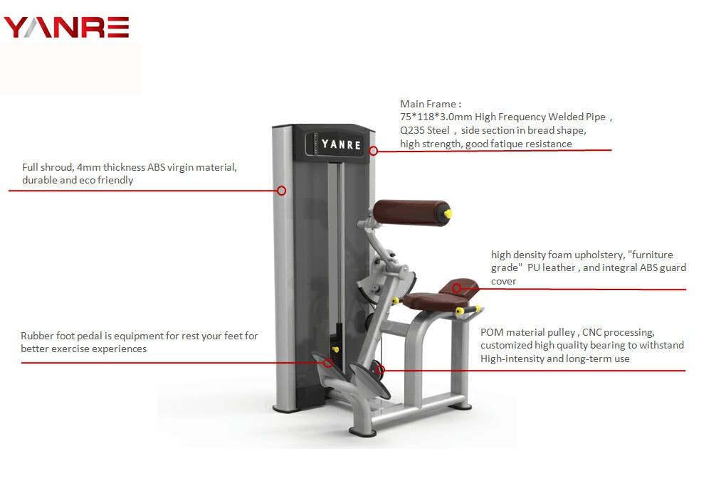 Back Extension Machine, Seated Back Extension for Sale | YR Fitness