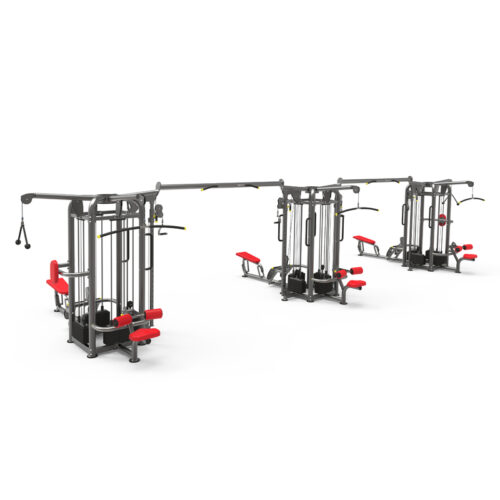 Multi-Purpose Gym Machine