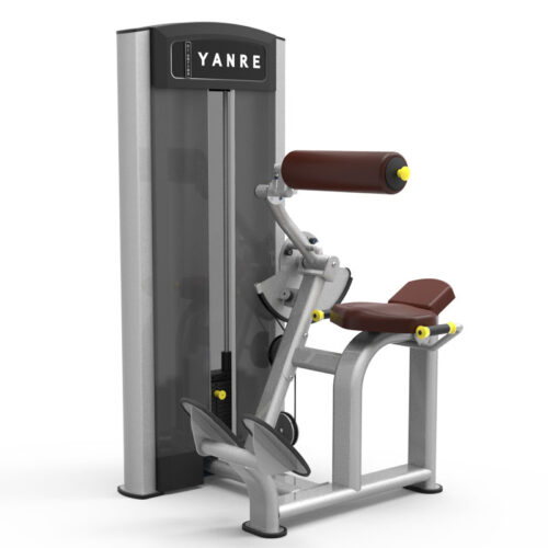 Back Extension Machine
