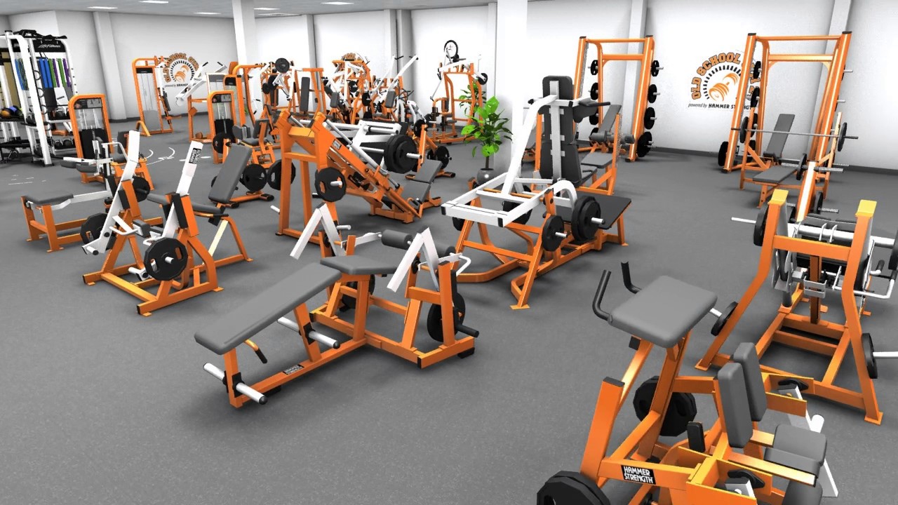 How To Set Up A School Gym Step By Step: The Definite Guide
