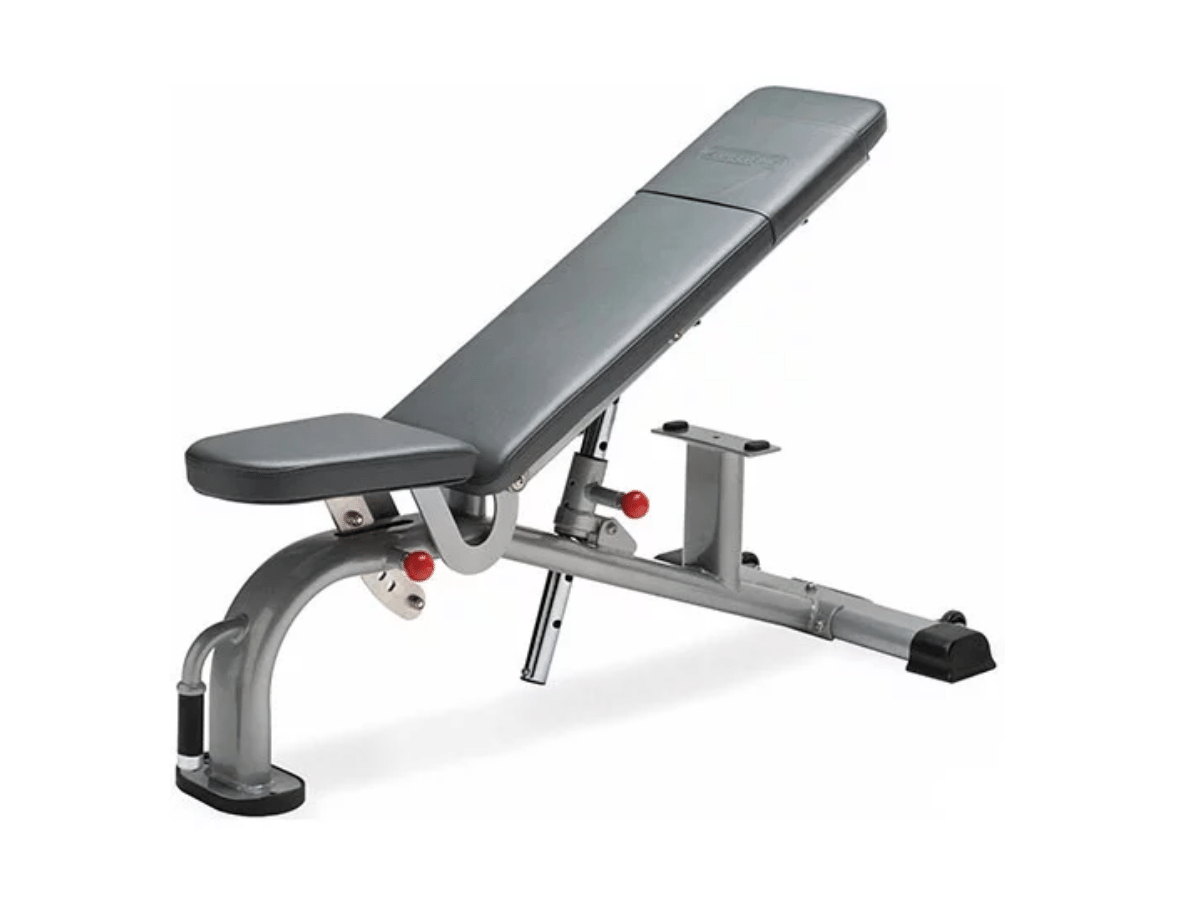 10 Best Commercial Weight Benches For The Year 2021
