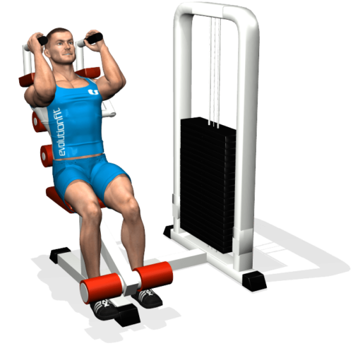 Seated Abs Crunch Machine