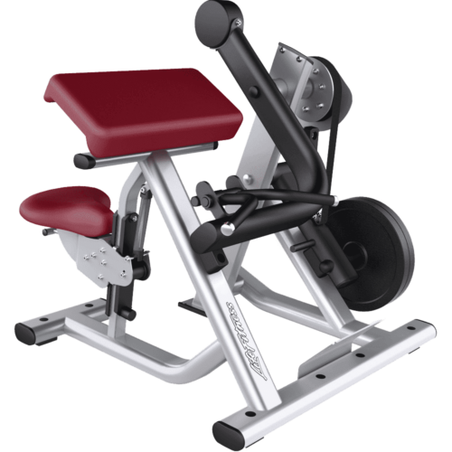 Plate Loaded Biceps Machine