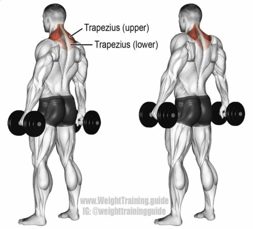 Trap Shrug Machine