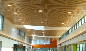 A Comprehensive Guide To Choose The Best Commercial Gym Ceiling Design