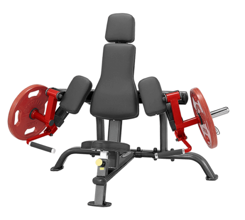 Plate Loaded Biceps Machine