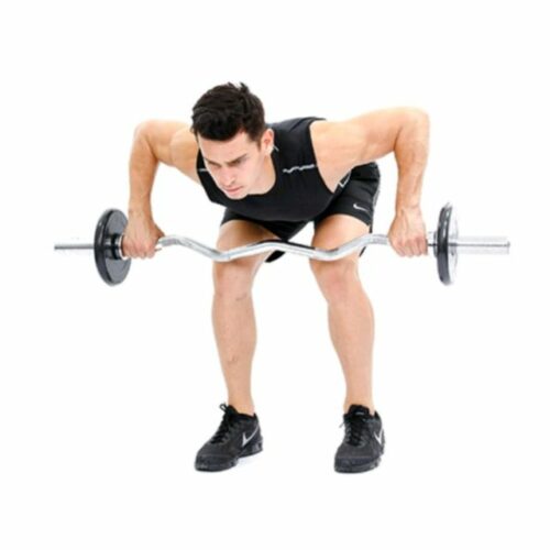 Commercial Weight Lifting Equipment