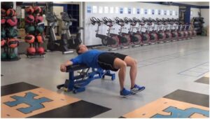 Plate Loaded Hip Thrust Machine