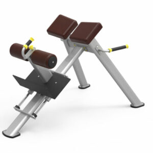 Commercial Sit Up Bench
