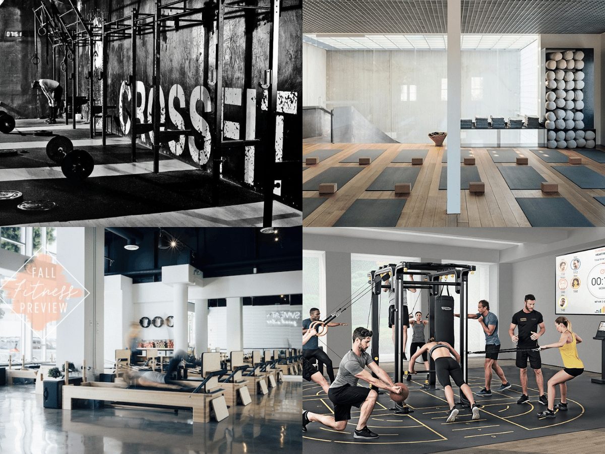 Small Gym Business Plan【PDF】: Building a Thriving Fitness Empire from ...