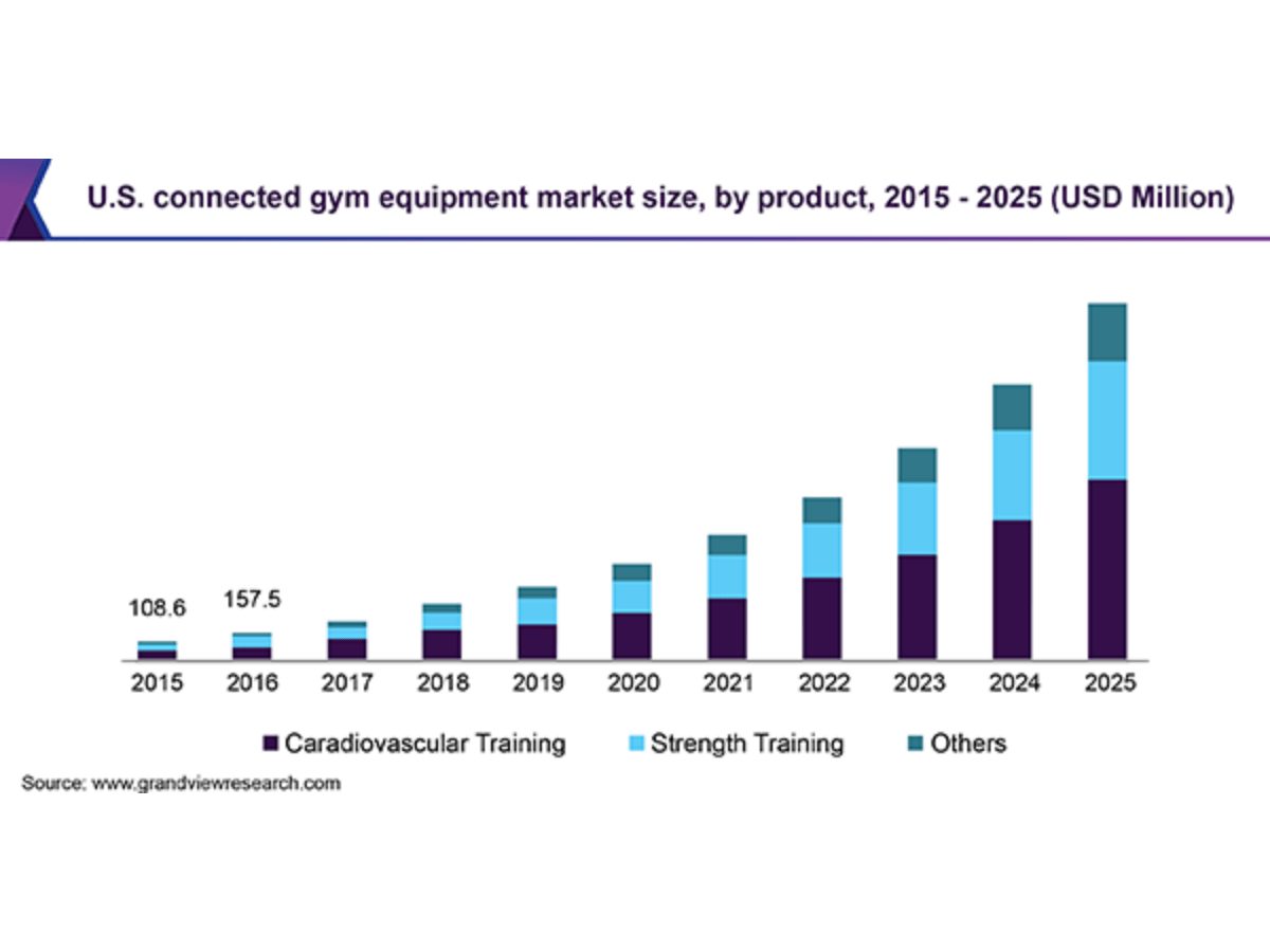 Are Gyms Profitable? 11 Factors To Consider - YR Fitness