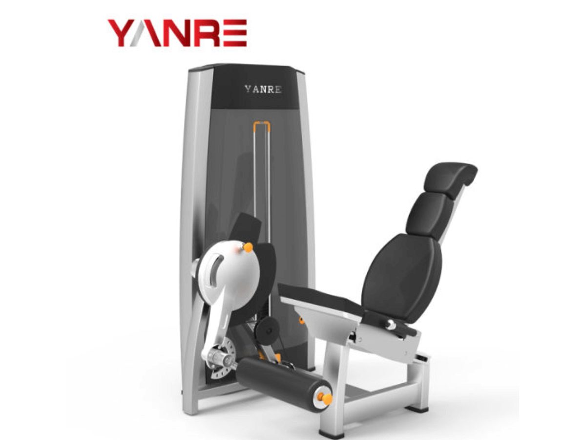 Get to Know the Leading 11 Custom Gym Equipment Manufacturers - YR Fitness