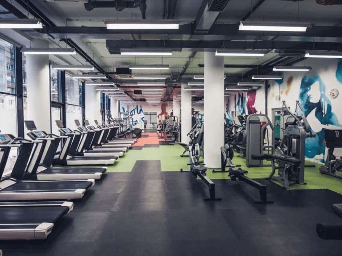 Small Gym Business Plan【PDF】: Building a Thriving Fitness Empire from ...
