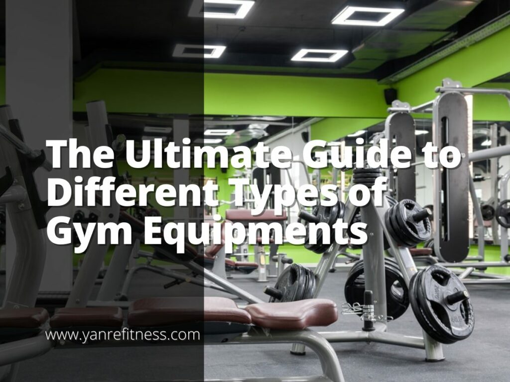The Ultimate Guide To Different Types Of Gym Equipments - YR Fitness