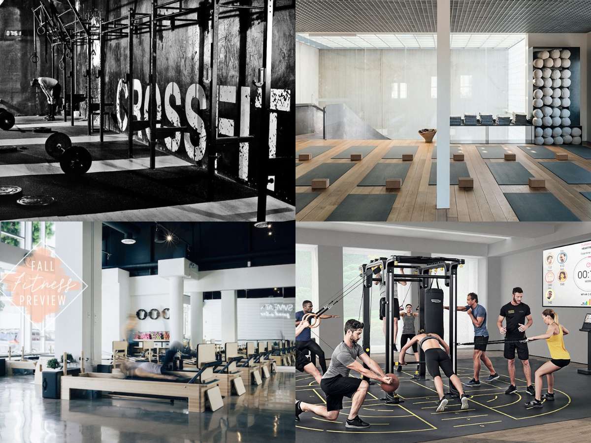 Small Gym Business Plan: Step-by-Step Guide - YR Fitness