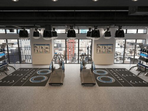 Gym Layout Design: A Comprehensive Guide To Creating An Efficient And ...
