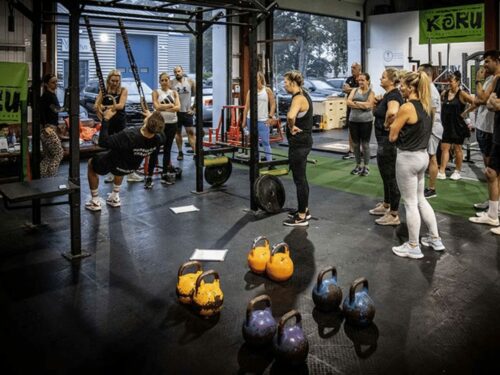 Gym Layout Design: A Comprehensive Guide To Creating An Efficient And ...