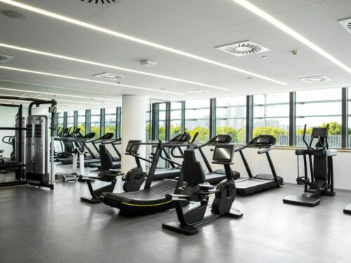 Gym Layout Design: A Comprehensive Guide To Creating An Efficient And ...