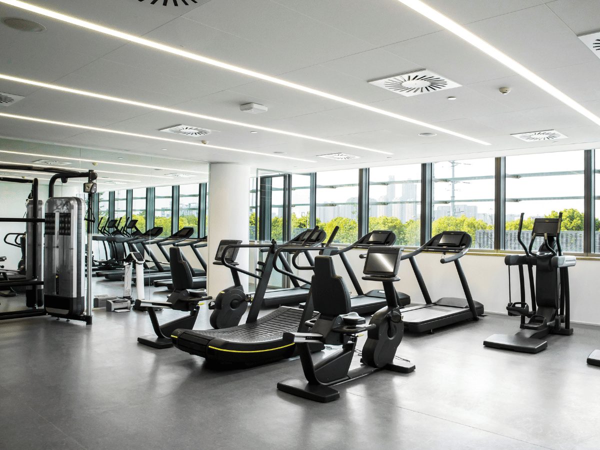 Gym Layout Design: A Comprehensive Guide To Creating An Efficient And ...