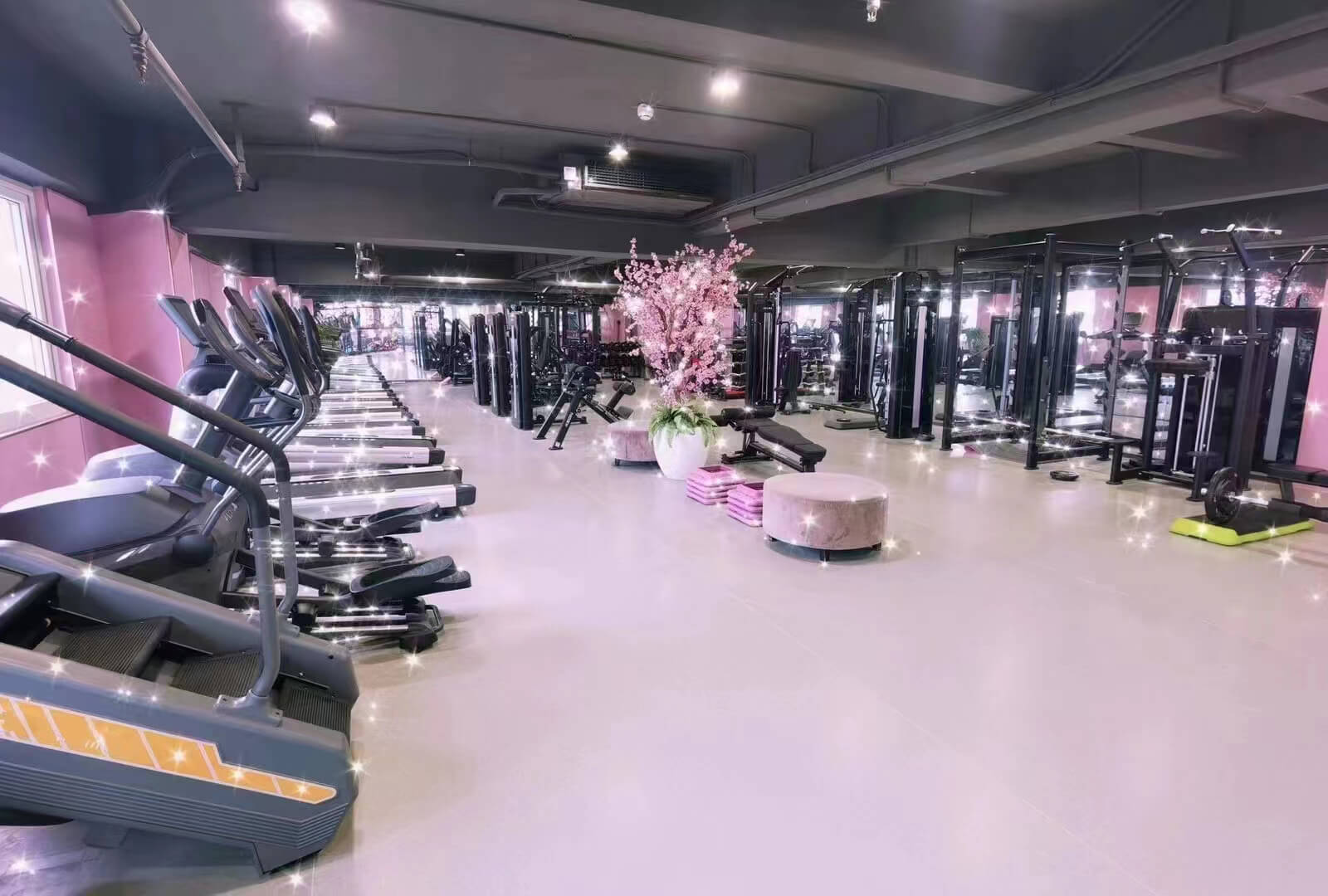 客户案例 - YR Fitness