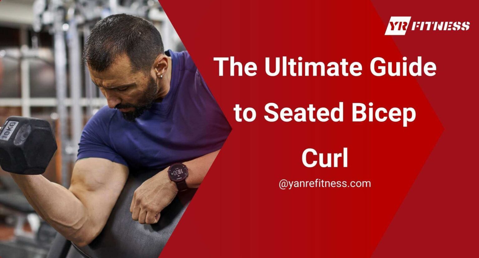 The Ultimate Guide To Seated Bicep Curl - YR Fitness