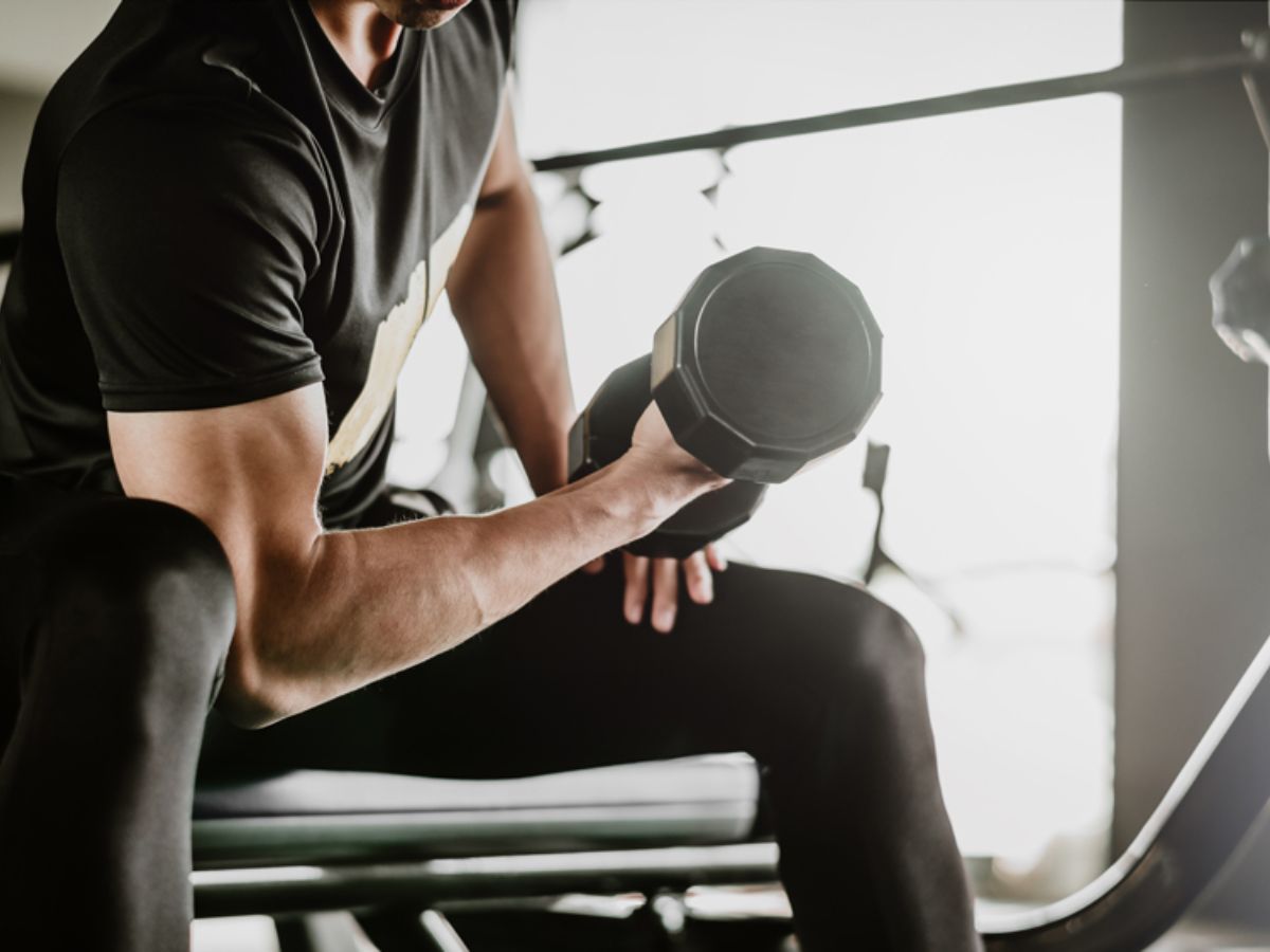 Seated Bicep Curl: Everything You Need To Know - YR Fitness