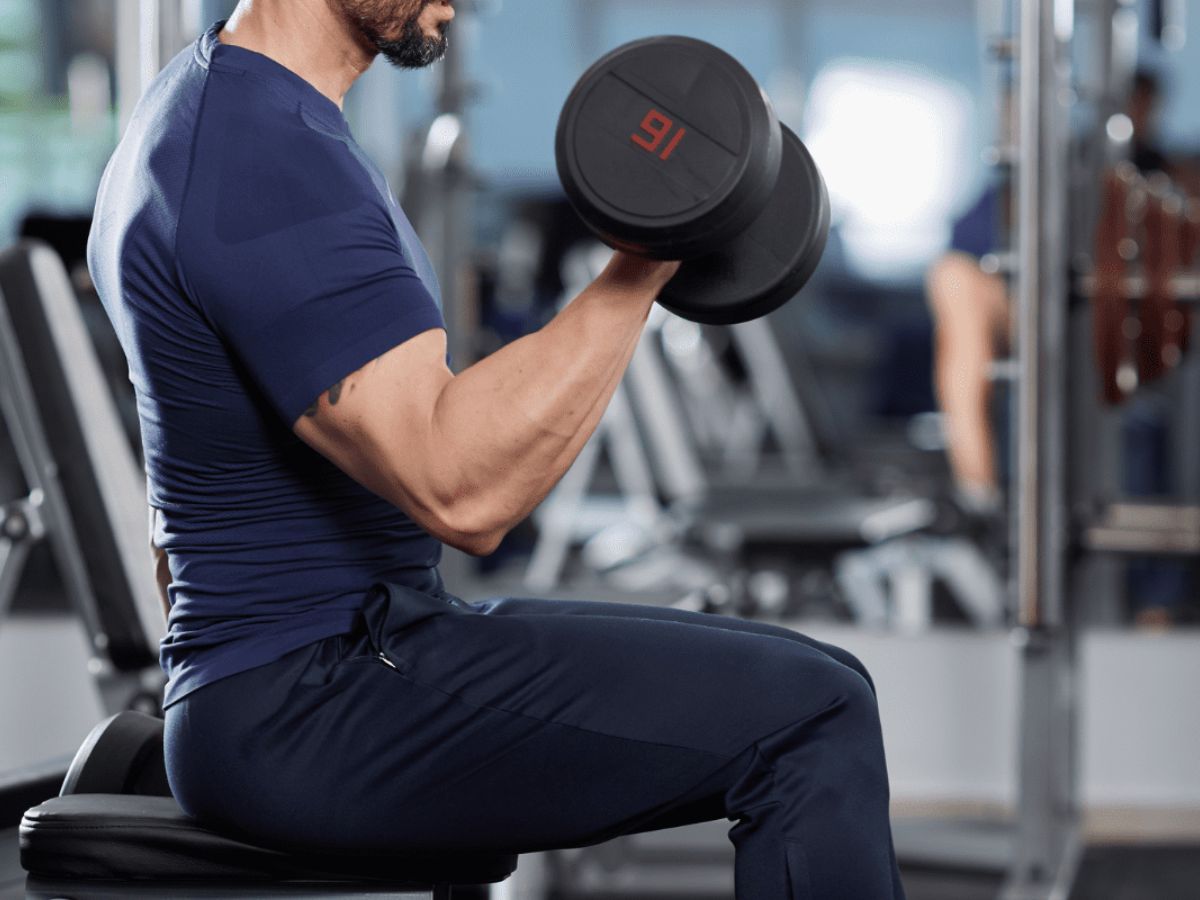 Seated Bicep Curl: Everything You Need To Know - YR Fitness
