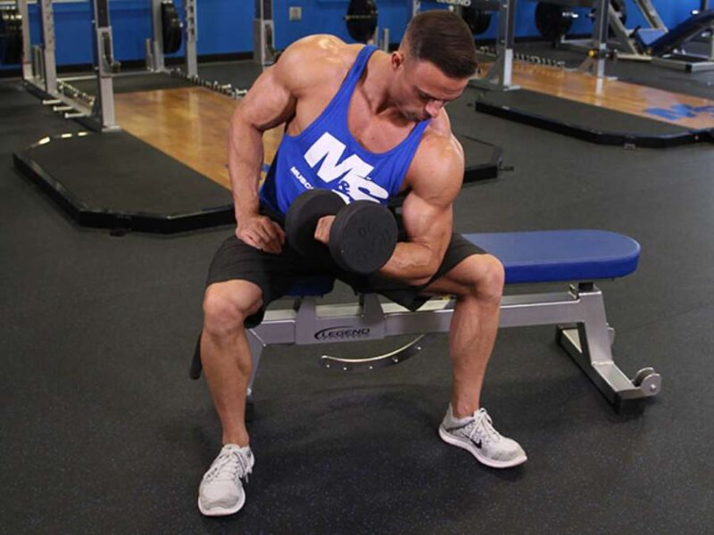 The Ultimate Guide To Seated Bicep Curl - YR Fitness