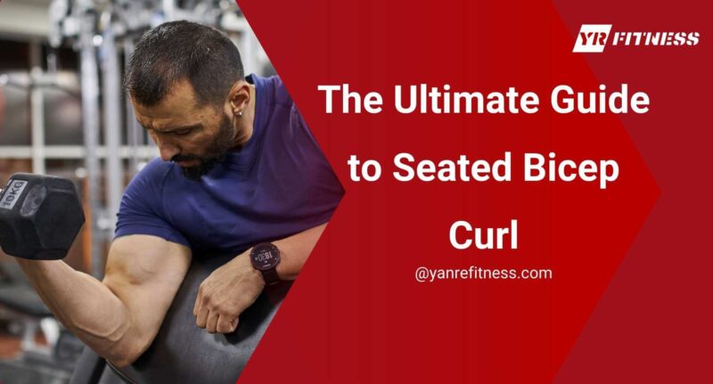 Der ultimative Leitfaden für Bizeps-Curls im Sitzen - YR Fitness