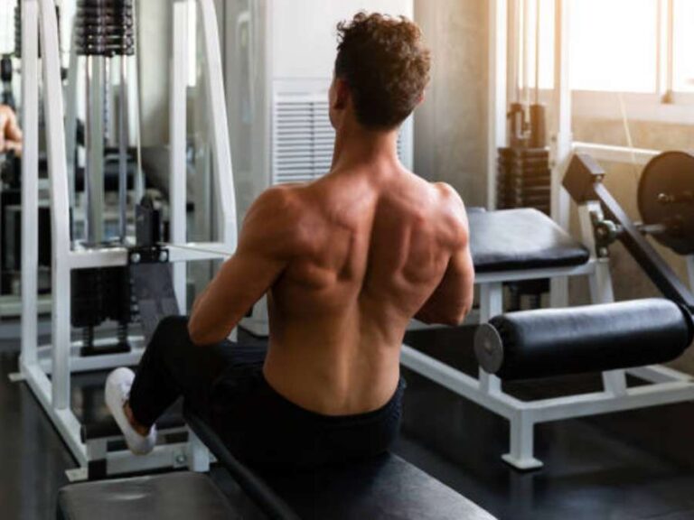 Seated Cable Row: A Comprehensive Guide - YR Fitness