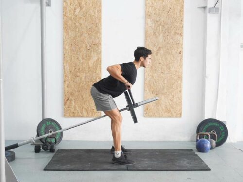 Mastering The Seated Cable Row: A Comprehensive Guide - YR Fitness