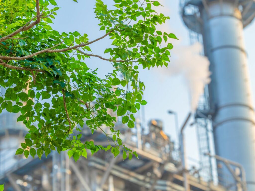 A Deep Dive Into Sustainable Gym Equipment Manufacturing In China: The ...