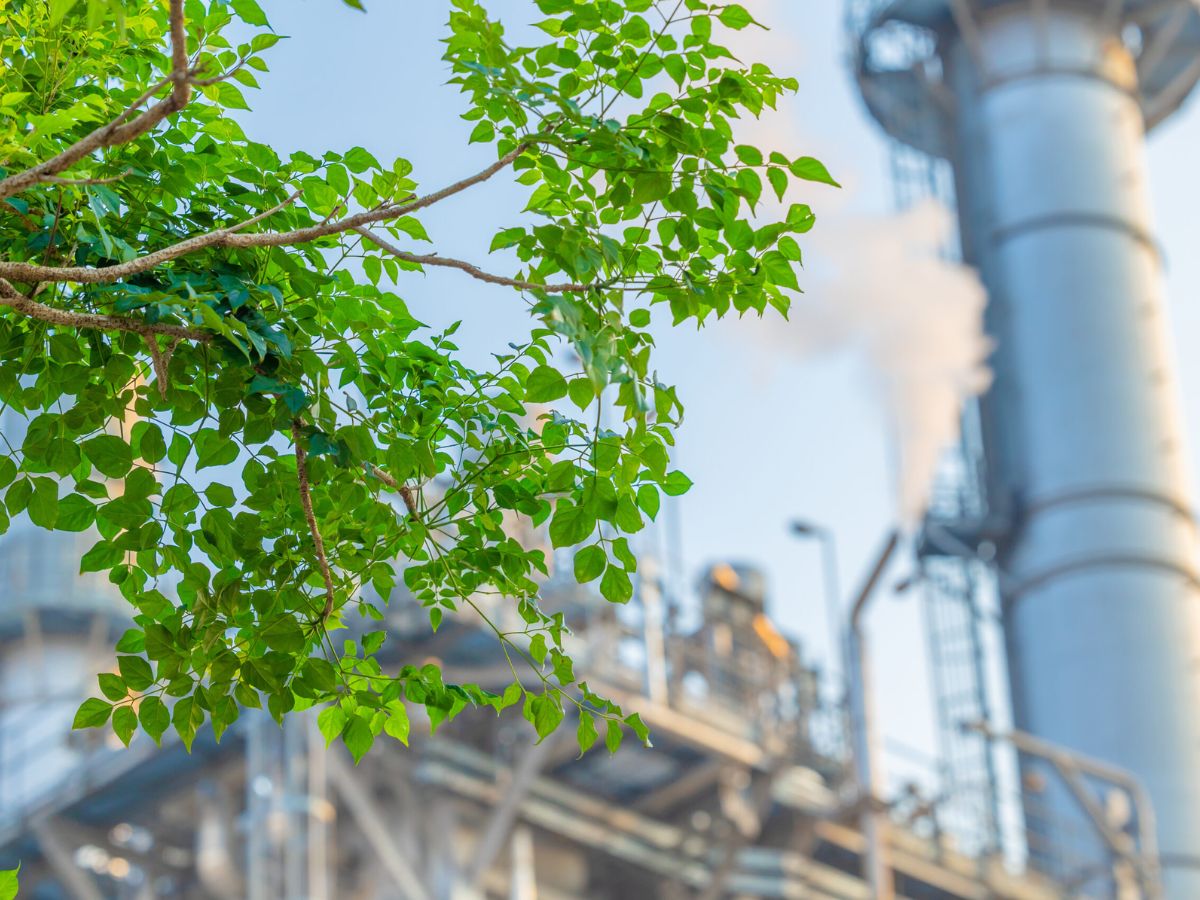 A Deep Dive Into Sustainable Gym Equipment Manufacturing In China: The ...