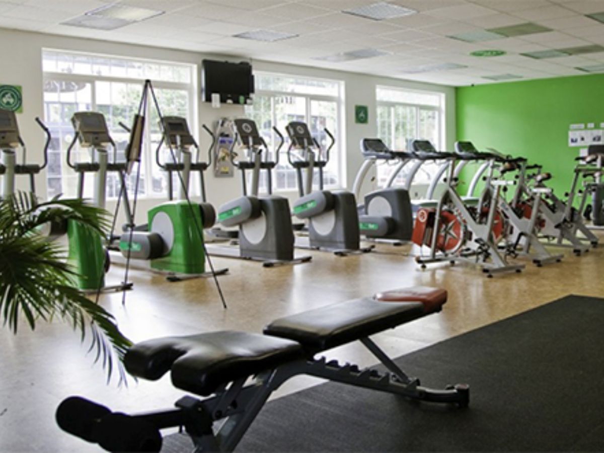 A Deep Dive Into Sustainable Gym Equipment Manufacturing In China: The ...