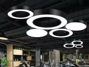 Perfect Ceiling Design To Elevate Your Gym Space - YR Fitness