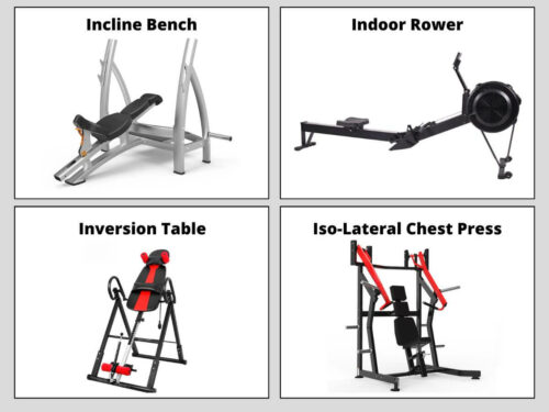 The A To Z Guide Of Gym Equipment Vocabulary: Your Ultimate Reference ...