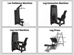 The A To Z Guide Of Gym Equipment Vocabulary: Your Ultimate Reference ...