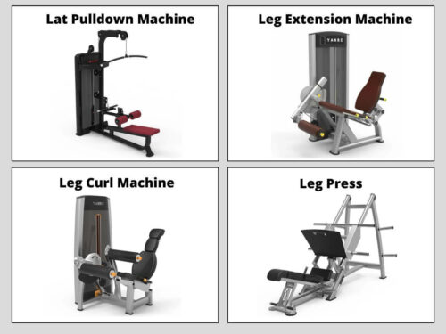 The A to Z Guide of Gym Equipment Vocabulary: Your Ultimate Reference ...