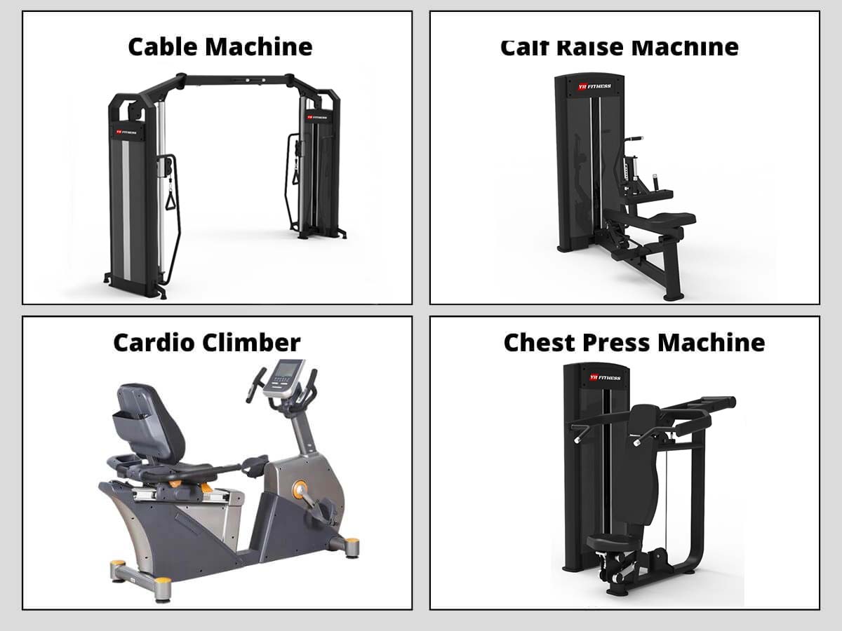 The A To Z Guide Of Gym Equipment Vocabulary: Your Ultimate Reference ...