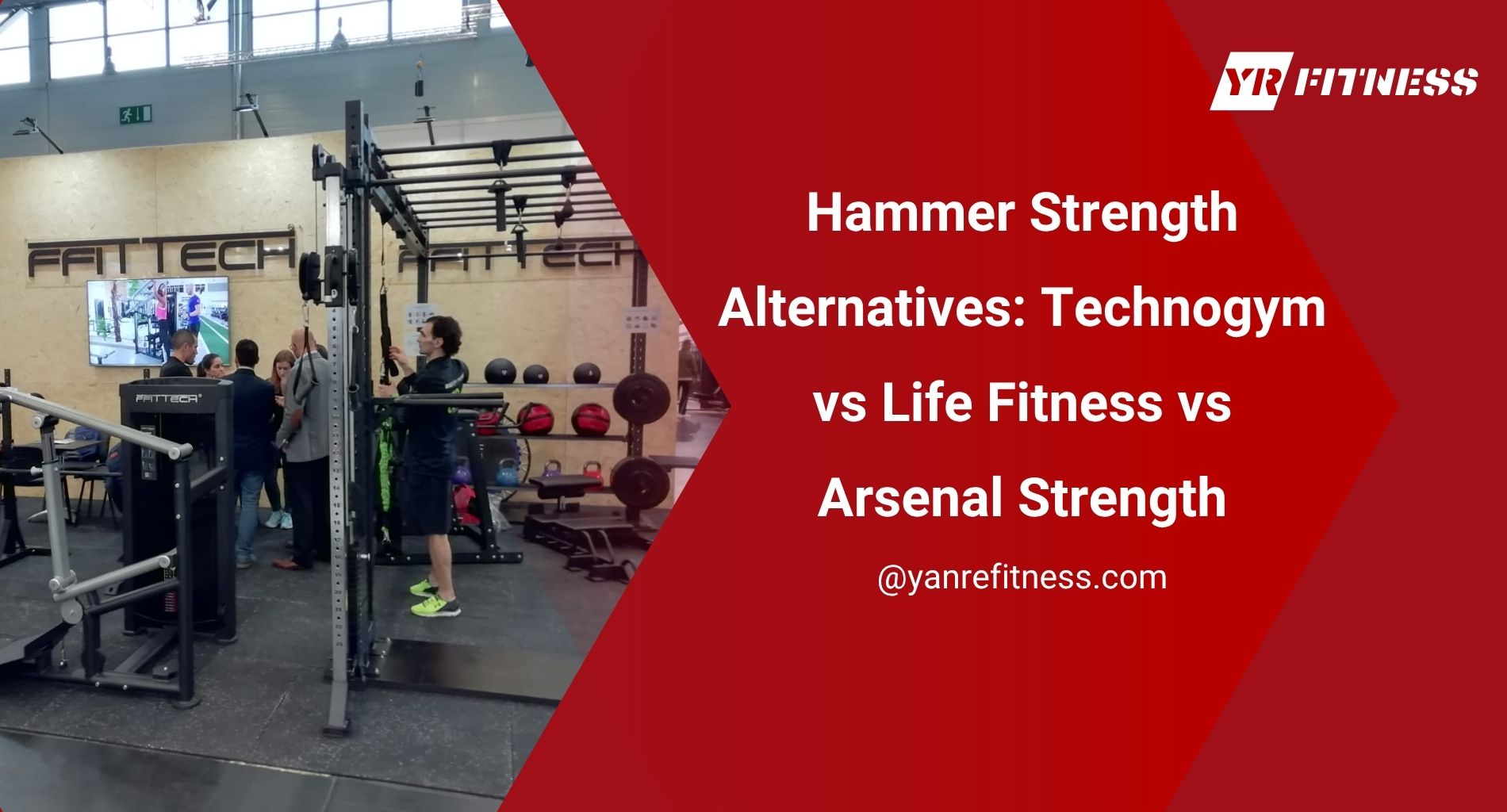 Hammer Strength Alternatives: Technogym Vs Life Fitness Vs Arsenal ...