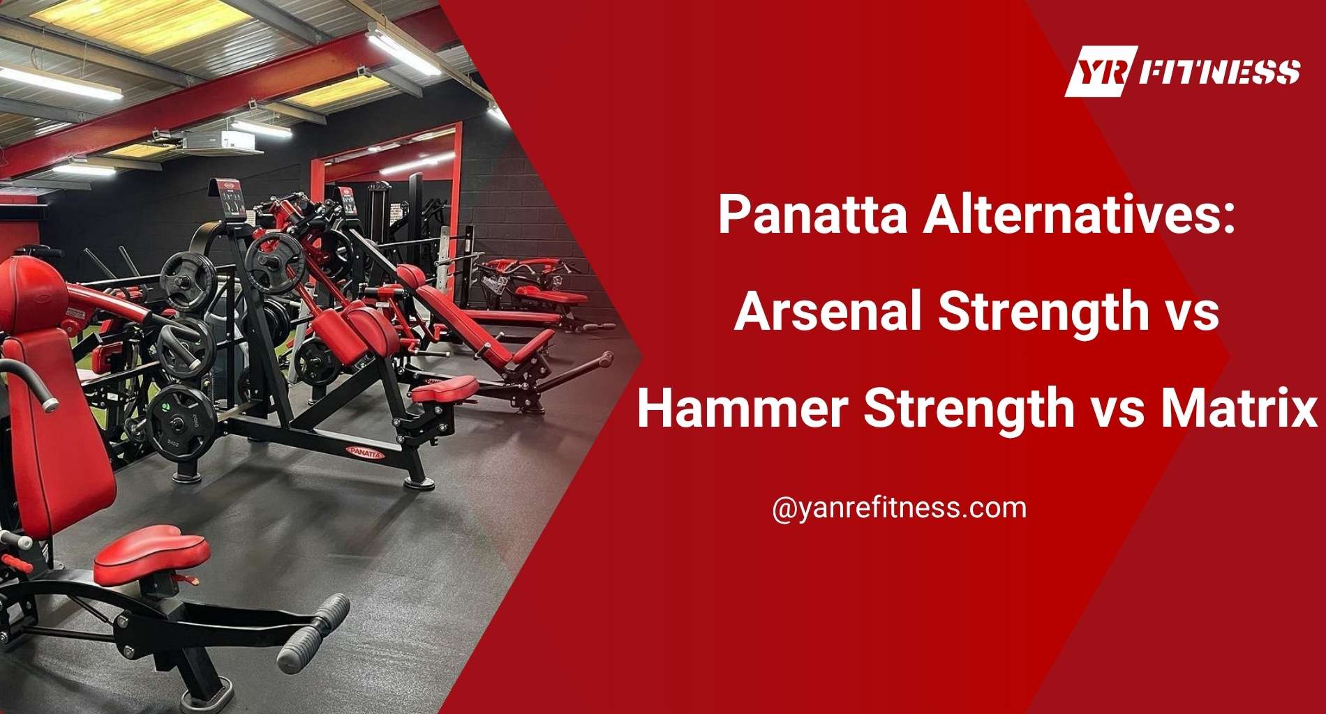 Alternativas a Panatta: Arsenal Strength vs. Hammer Strength vs. Matrix ...